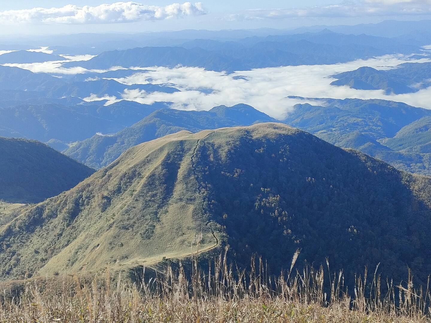 三瓶山 / rumiさんの三瓶山・大平山の活動データ | YAMAP / ヤマップ
