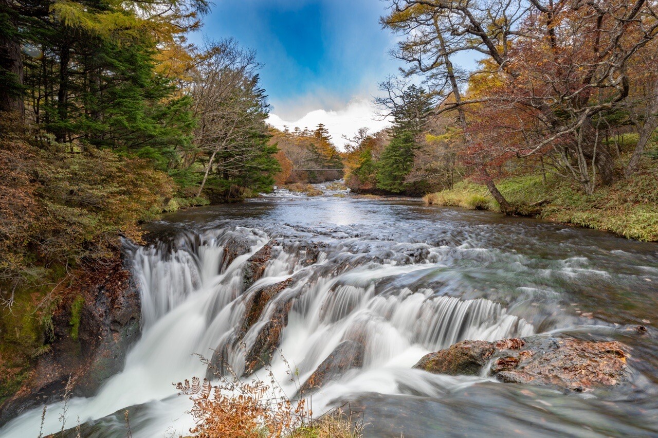 ٩( 'ω' )و戦場ヶ原写ん歩 / HEY☆POさんの日光白根山・五色山・錫ヶ岳の活動データ | YAMAP / ヤマップ