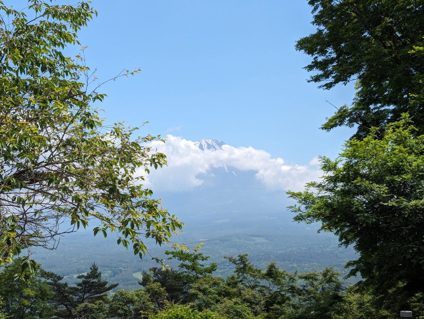 足和田山(五湖台) / ko-riさんの節刀ヶ岳・破風山・足和田山の活動日記 | YAMAP / ヤマップ