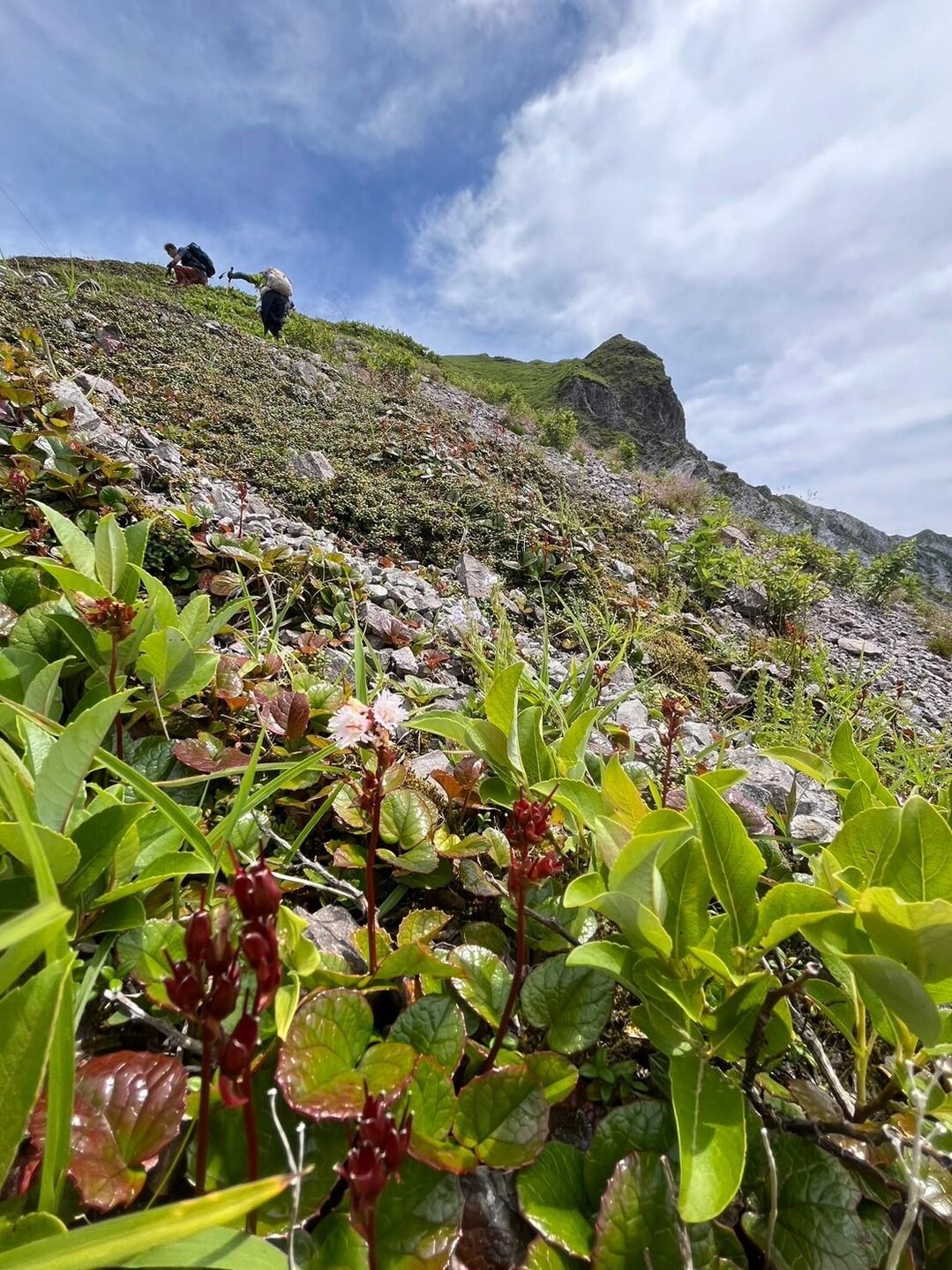 yakkoのページ | YAMAP / ヤマップ