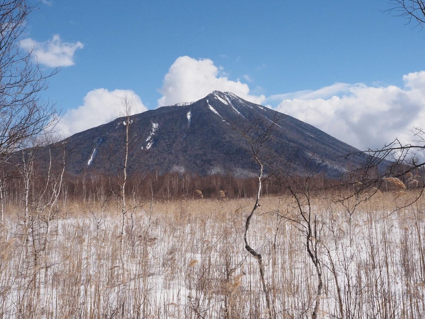 戦場ヶ原/大雪後のスノーシュー / samiさんの日光白根山・五色山・錫ヶ岳の活動データ | YAMAP / ヤマップ