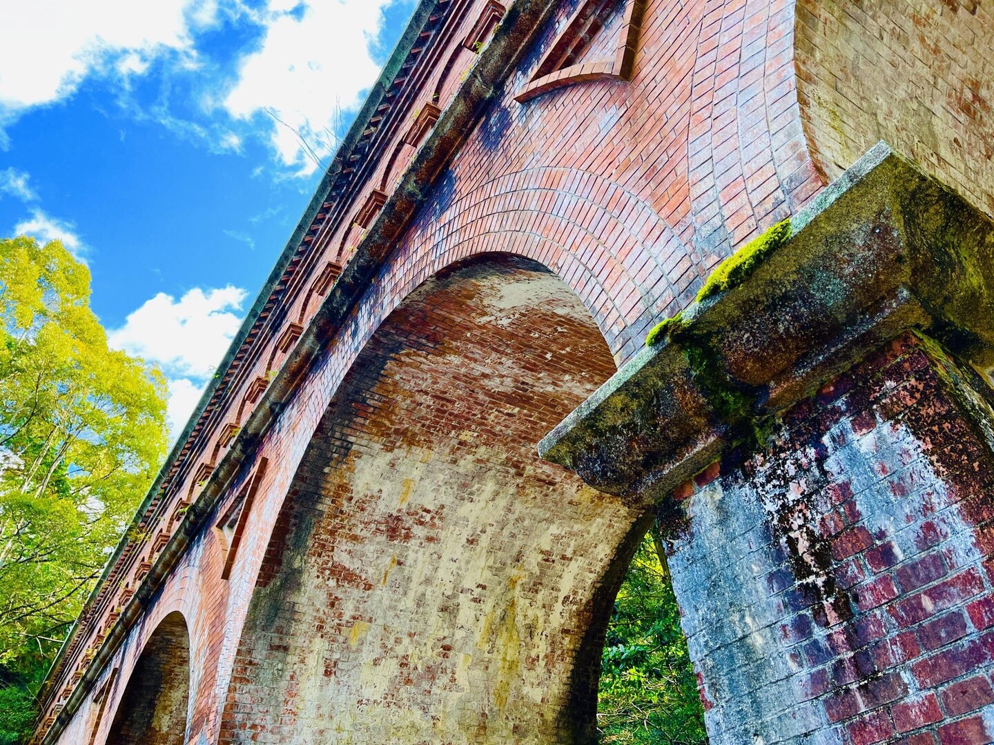 南大文字山【Peek hunt】 / 🍄やき🐛🐜さんの大文字山・如意ヶ嶽・稲荷山の活動日記 | YAMAP / ヤマップ