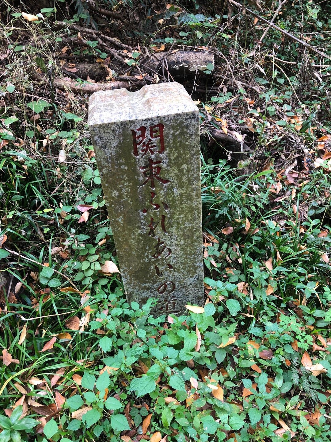 高麗山〜鷹取山 / taka14さんの高麗山・湘南平・鷹取山の活動データ | YAMAP / ヤマップ