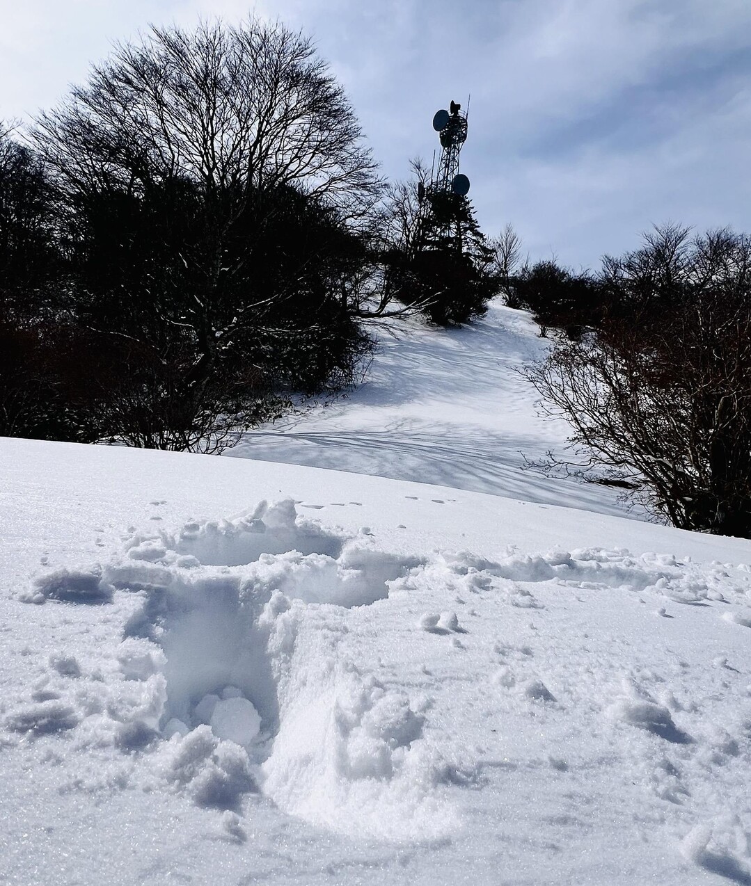 五十人山 / ymatさんの五十人山の活動データ | YAMAP / ヤマップ