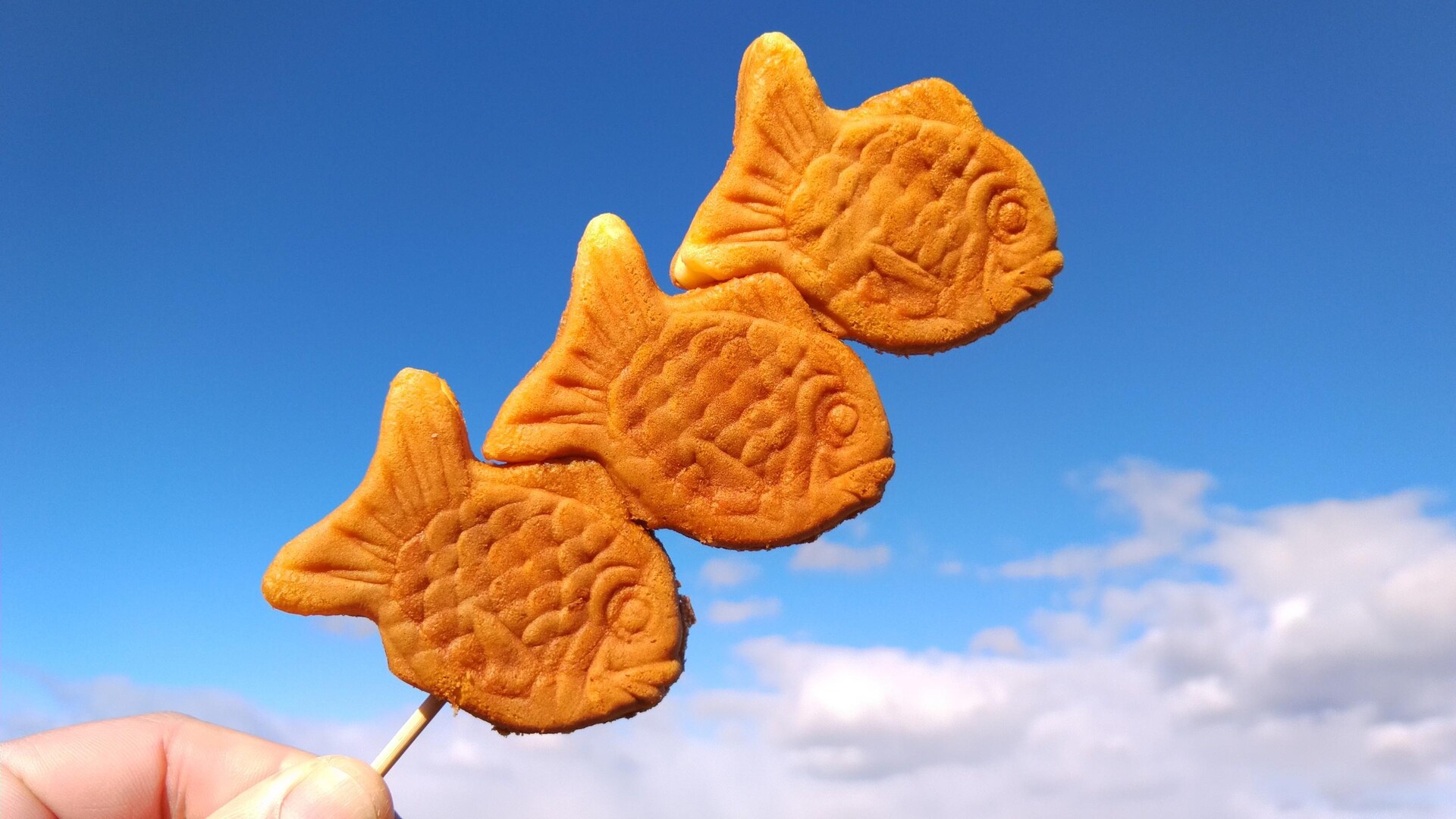 kohirouのページ | YAMAP / ヤマップ