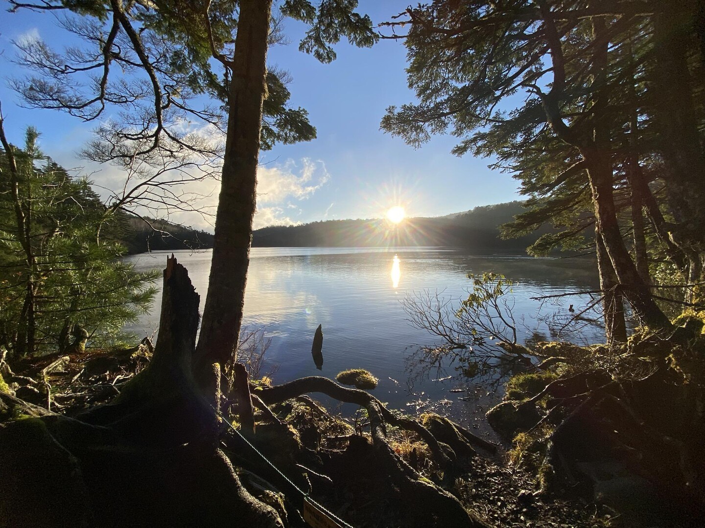 晴天勝利🏅@苔森と岩の八ヶ岳(ニュウ・東天狗岳・西天狗岳・中山・丸山) / yuma.aさんの八ヶ岳（赤岳・硫黄岳・天狗岳）の活動データ | YAMAP / ヤマップ