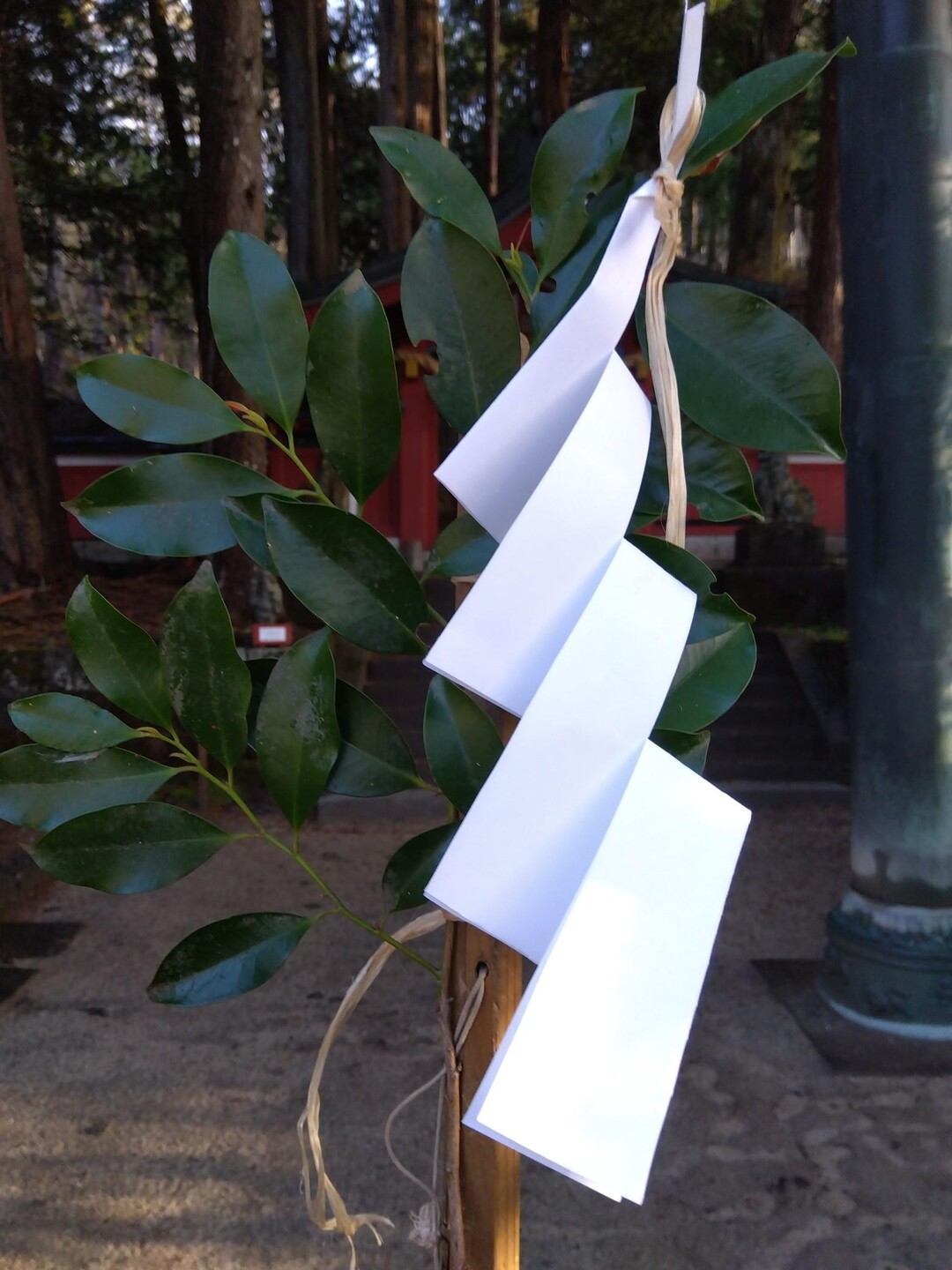 男体山「中宮祠登拝門」 / asonさんの夕日岳・薬師岳の活動データ | YAMAP / ヤマップ