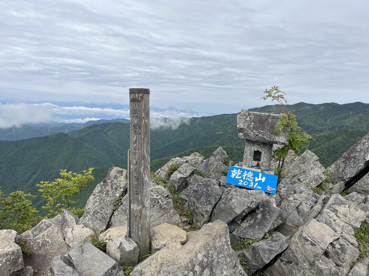 #168 乾徳山-2024-06-09 / baltoroさんの乾徳山・黒金山の活動データ | YAMAP / ヤマップ