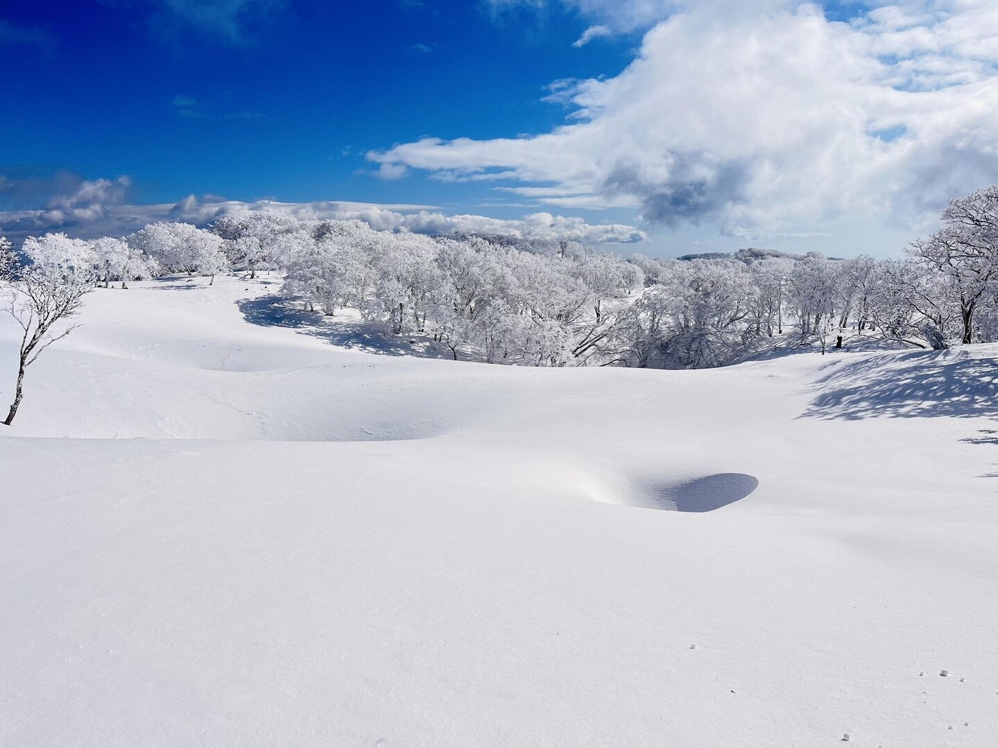 今期最初で最後？ 雪の御池岳 テーブルランドへ / ROBINさんの藤原岳・御池岳の活動日記 | YAMAP / ヤマップ