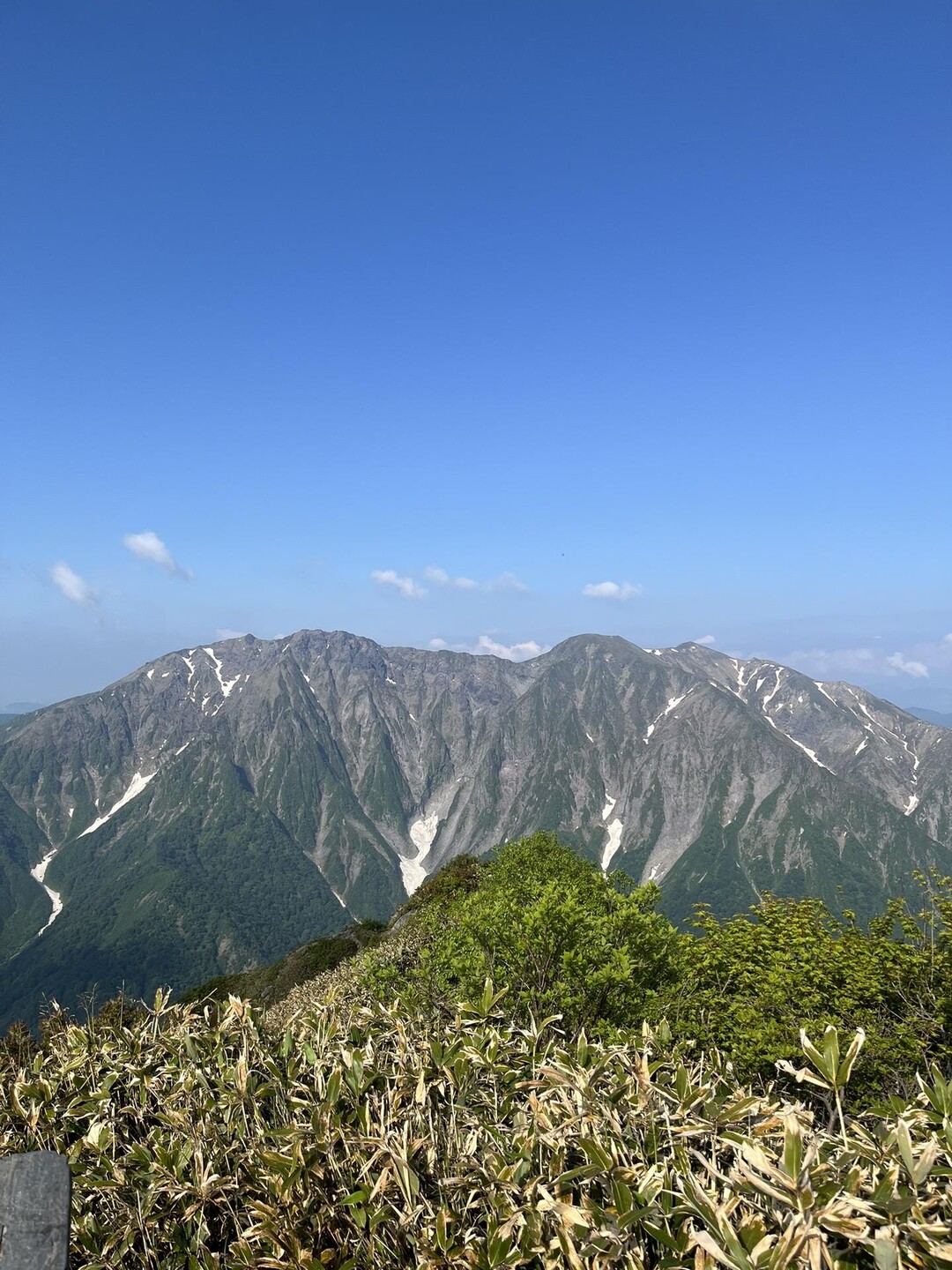 松ノ木沢ノ頭・白毛門・笠ヶ岳 / shさんの谷川岳・七ツ小屋山・大源太山の活動日記 | YAMAP / ヤマップ