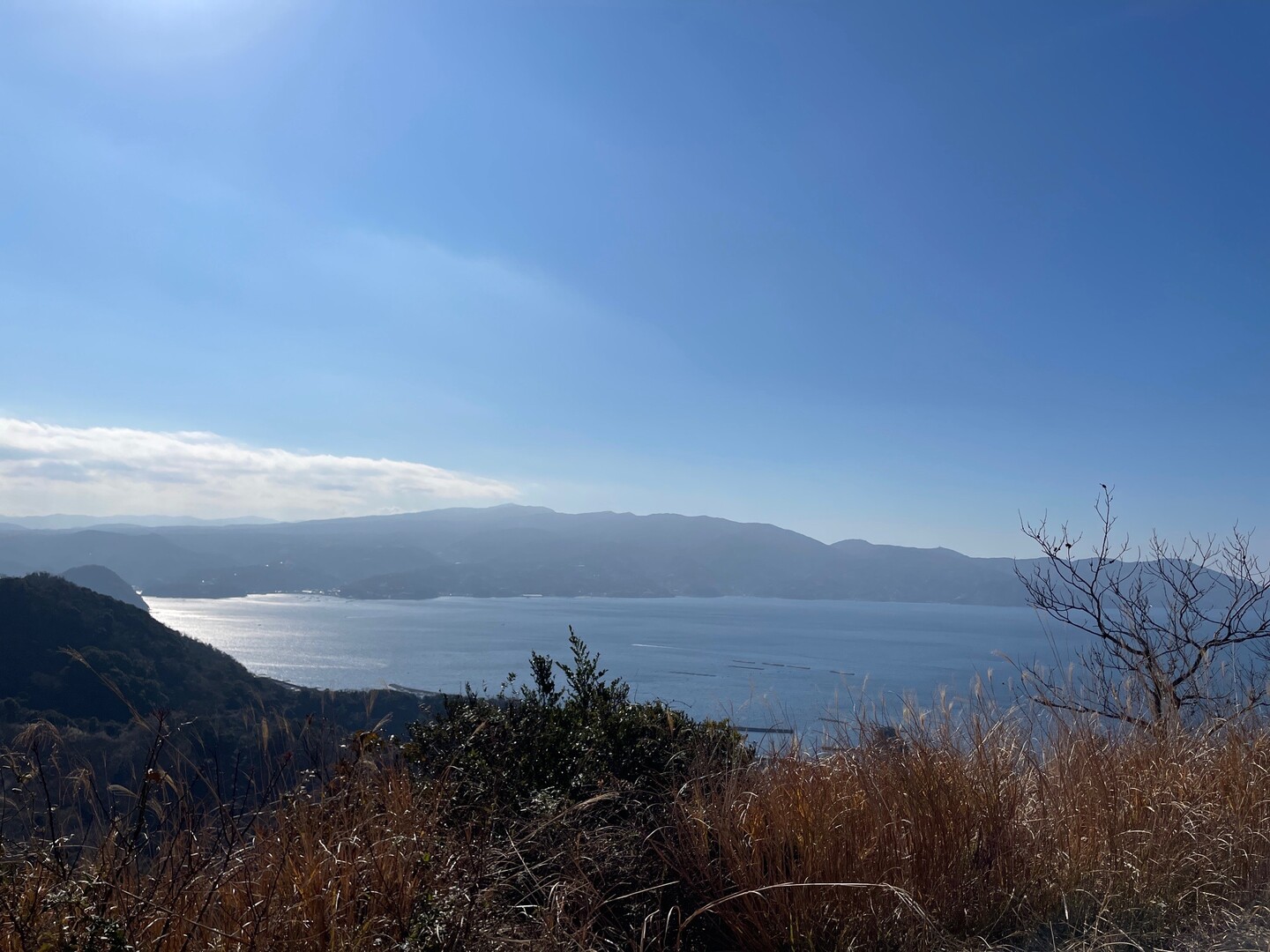 ririさんの投稿したフィールドメモ | YAMAP / ヤマップ