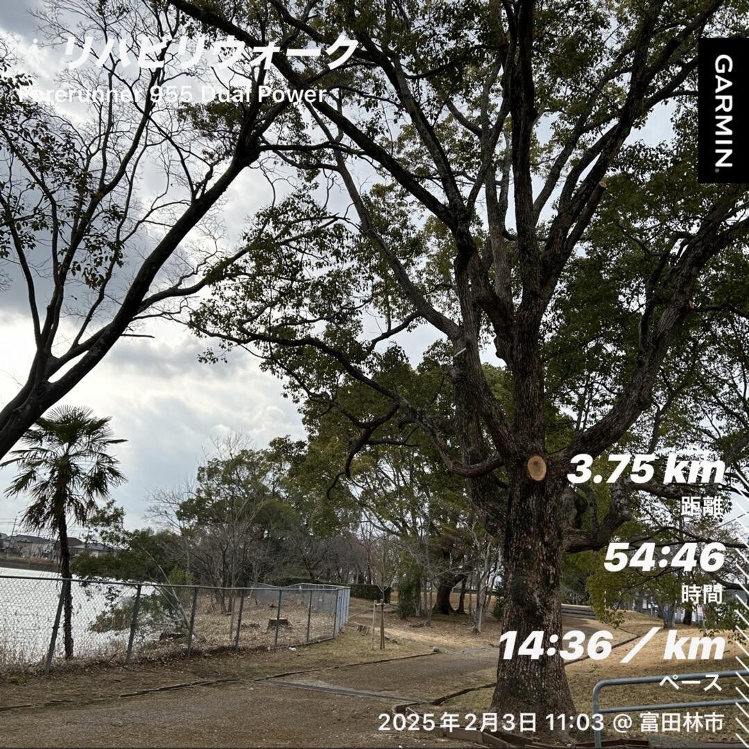 体調を崩したまま、静養中 ストレッチや自... / Hiromin in M.t さんのモーメント | YAMAP / ヤマップ