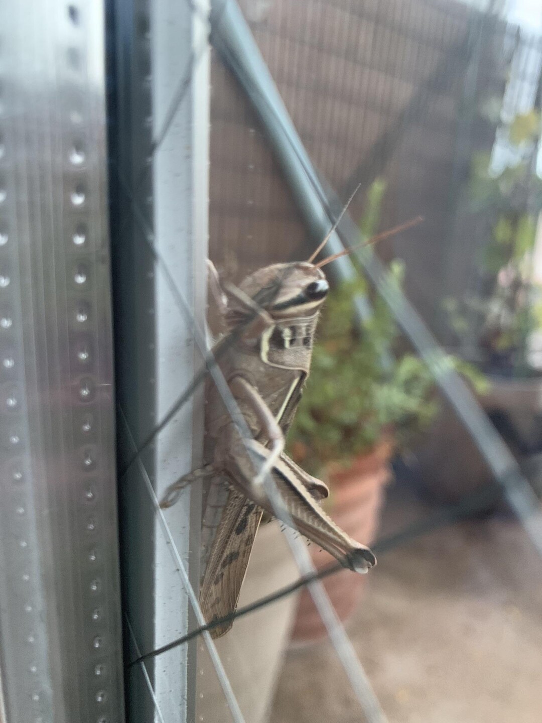 こんなこも！！ / Lucy mさんのモーメント | YAMAP / ヤマップ