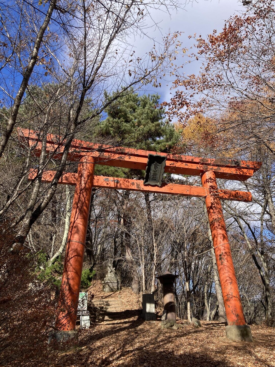 太郎山 / kuroさんの太郎山の活動データ | YAMAP / ヤマップ