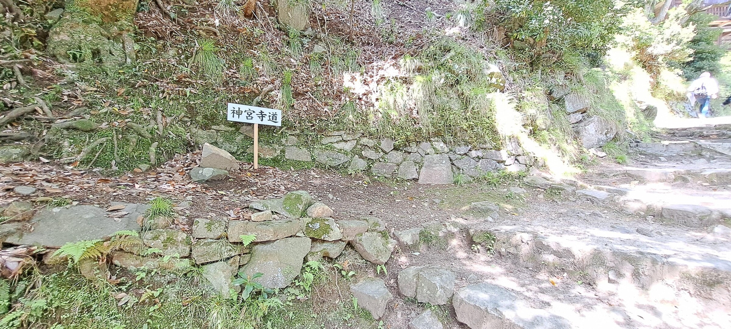 kame11さんの投稿したフィールドメモ | YAMAP / ヤマップ