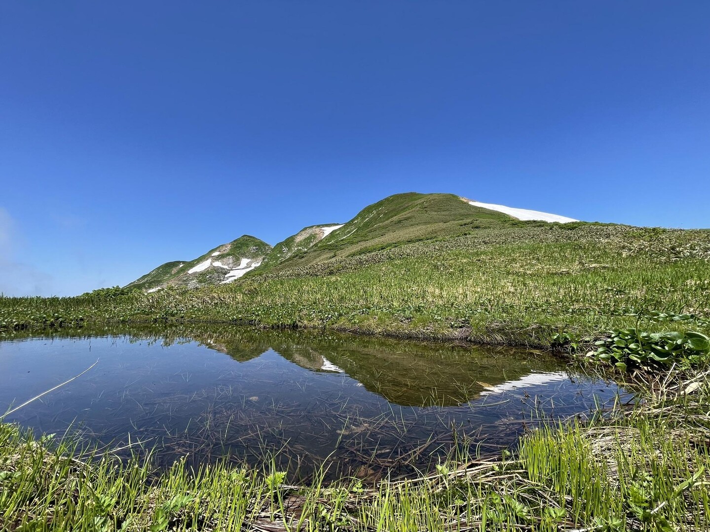 日暮沢から周回大朝日岳 / ふ・ゆみさんの大朝日岳・朝日連峰・祝瓶山の活動データ | YAMAP / ヤマップ