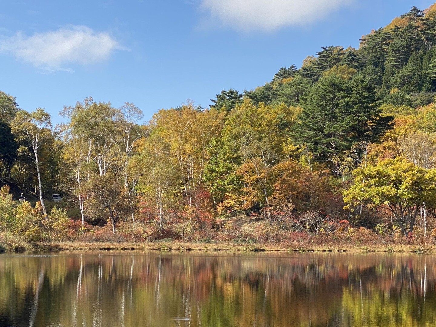 琵琶池と一沼 紅葉盛り🍁🍁 / tatatuさんのモーメント | YAMAP / ヤマップ