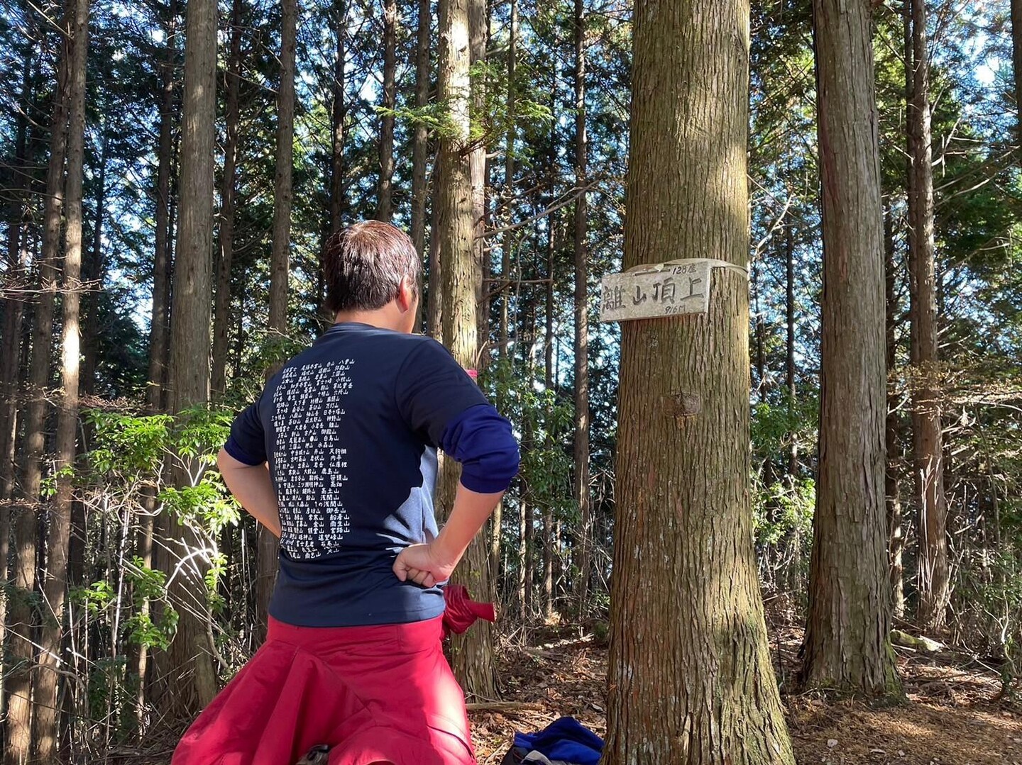 💮完登💮 愛知の130山 130座目 離山 / りゃうさんの日本ヶ塚山の活動データ | YAMAP / ヤマップ