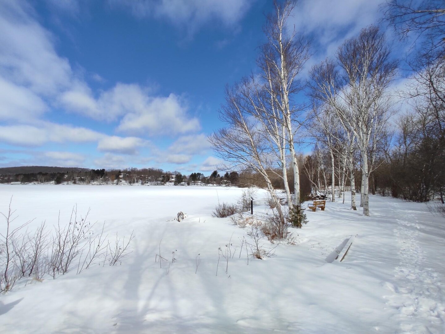 Hunters Bay Trail-2023-03-20 / たけちよさんのウォーキングの活動データ | YAMAP / ヤマップ