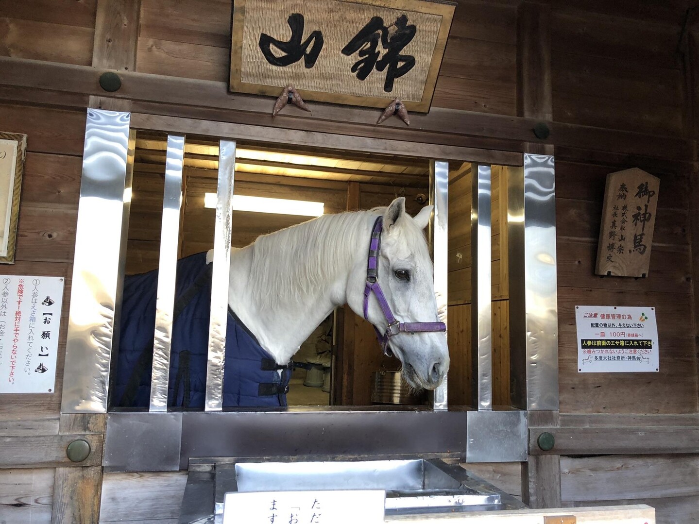 Autumn Leaves 多度山 / pixyさんの多度山・美濃松山・石津御嶽の活動データ | YAMAP / ヤマップ
