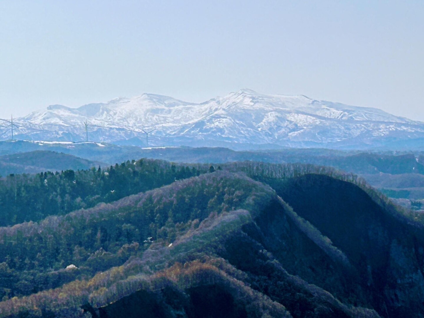 そしておかわりは尻場山🌸 / rucolaさんの尻場山の活動データ | YAMAP / ヤマップ