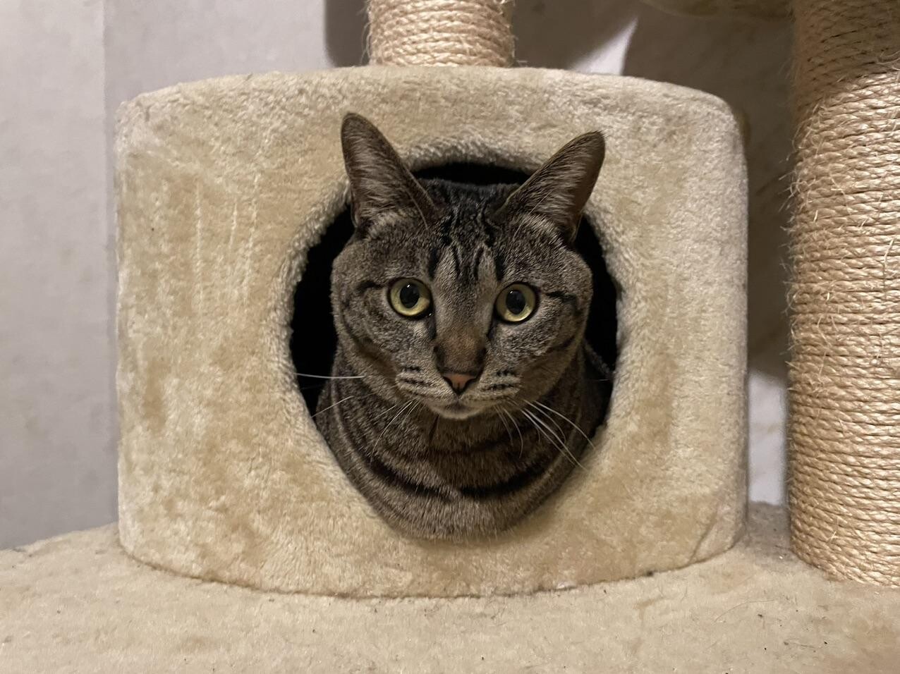 ota660のページ | YAMAP / ヤマップ