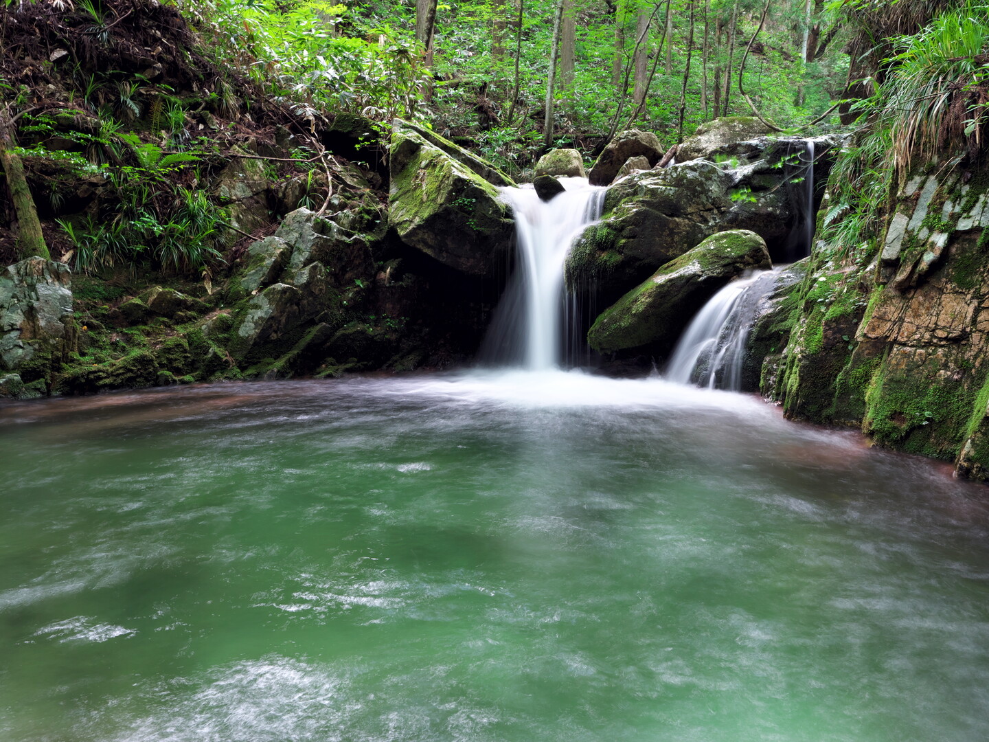 小五郎山・容谷山・右谷山・錦ヶ岳・寂地峡 / T.Tさんの小五郎山の活動データ | YAMAP / ヤマップ
