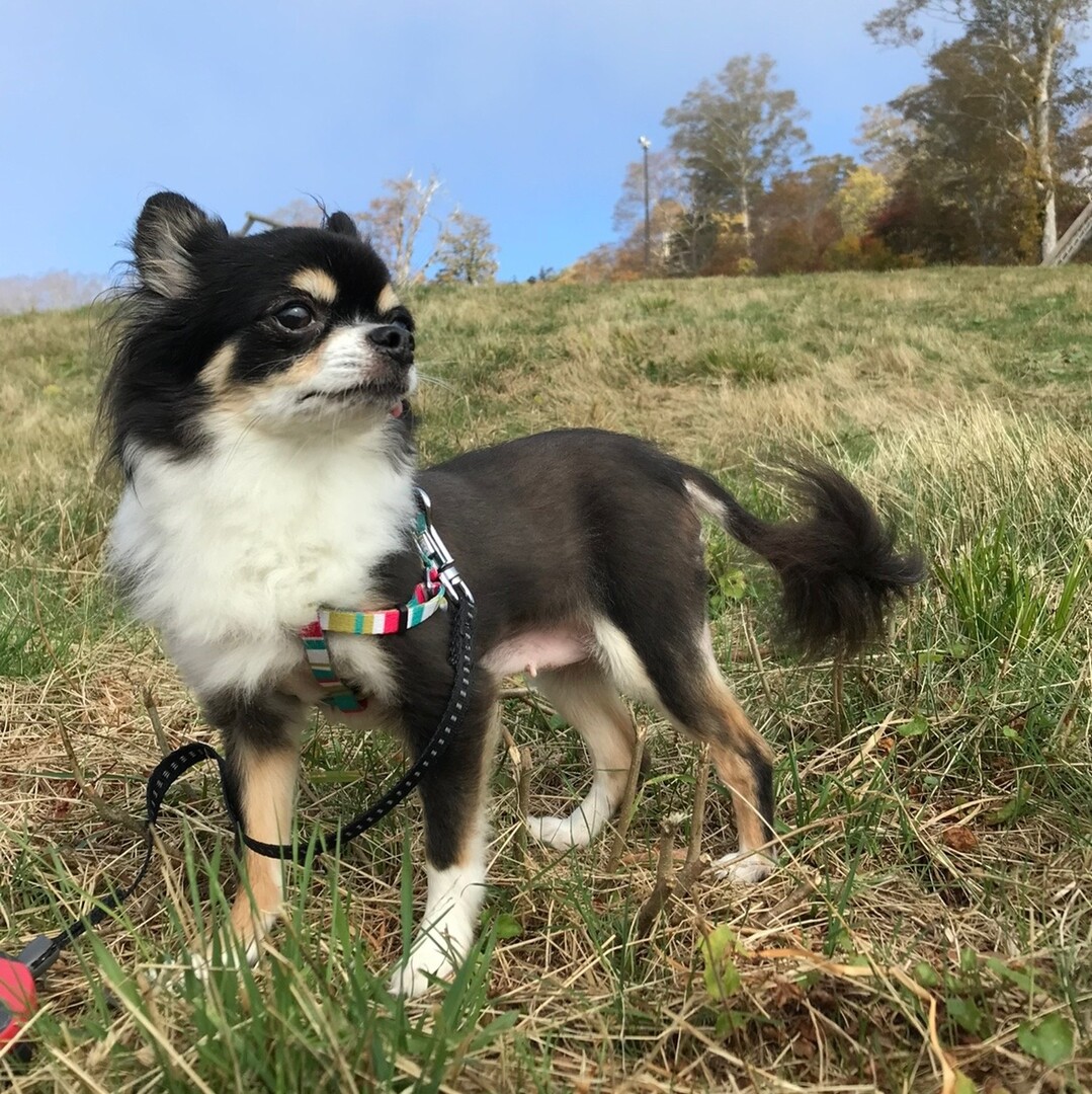 yamakazuのページ | YAMAP / ヤマップ