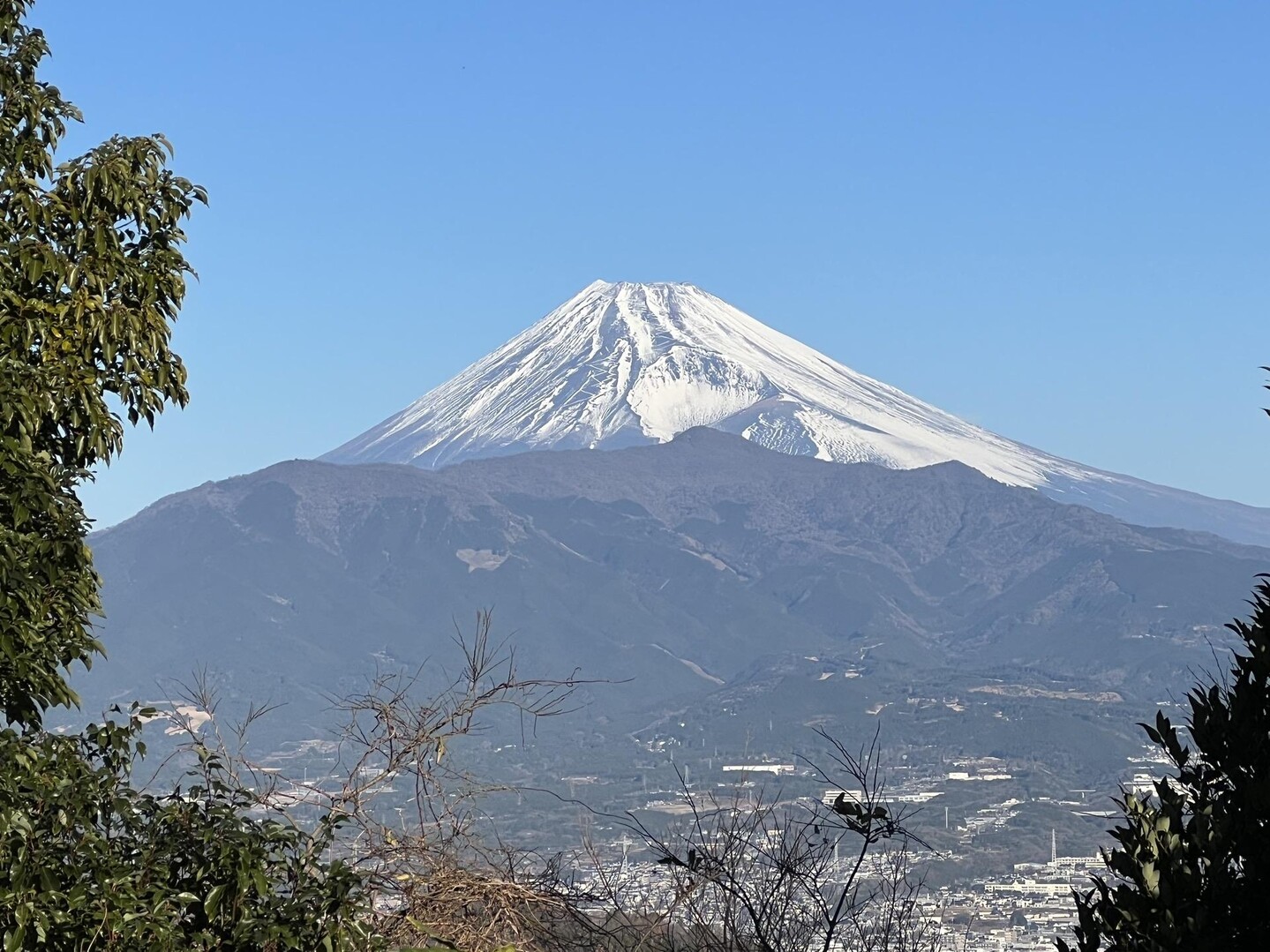 沼津アルプス / togonovoさんの沼津アルプス・鷲頭山・香貫山の活動データ | YAMAP / ヤマップ
