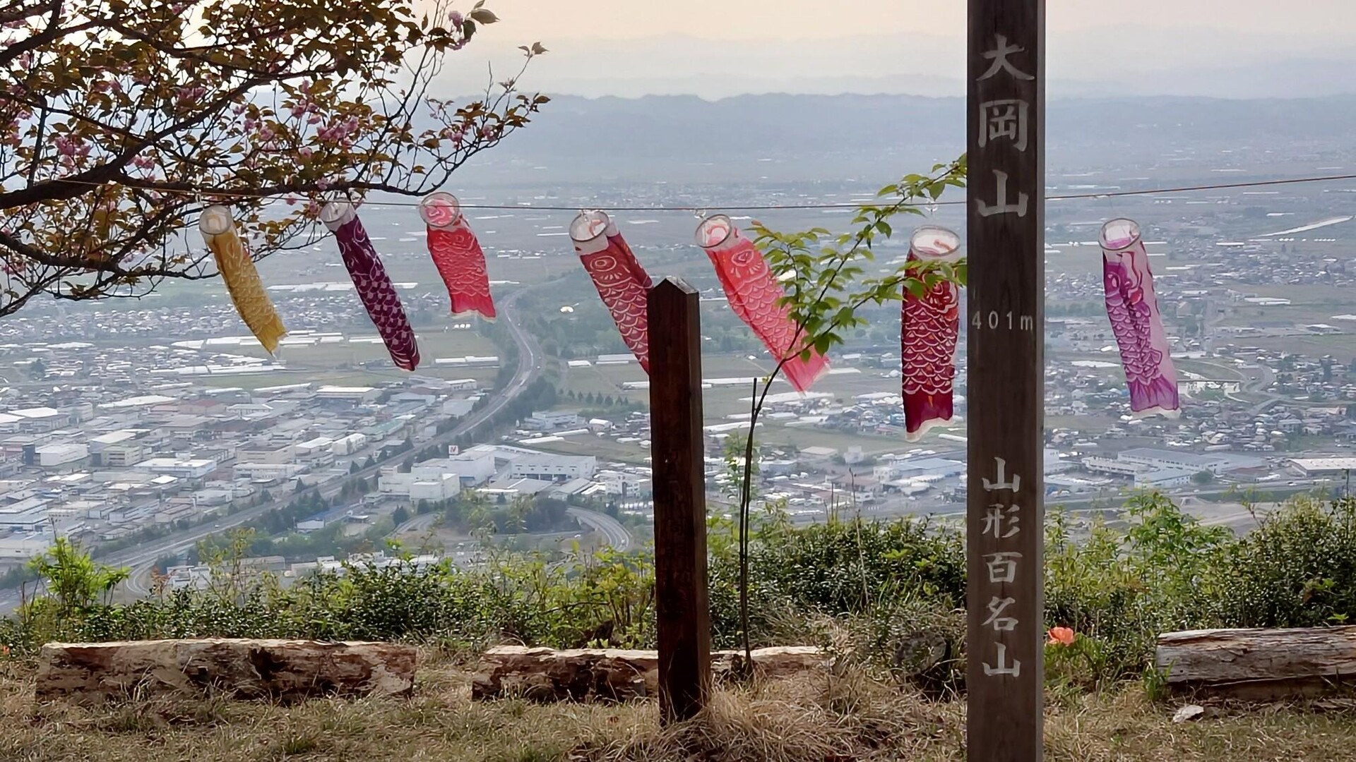 2024-04-29 小菰石山から大岡山 / rukyさんの大岡山・小菰石山の活動日記 | YAMAP / ヤマップ