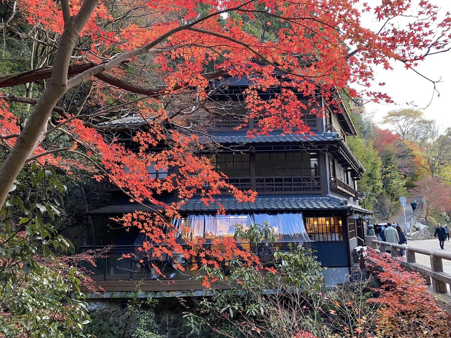 箕面山・六個山 / Meiさんの六個山・鉢伏山・明ヶ田尾山・五月山の活動データ | YAMAP / ヤマップ