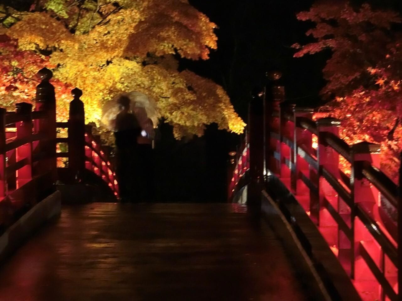 🍁を狩りまくり🤣AM上越の国府モミジ園→PM☔弥彦のモミジ谷 / 🤡🤚🏻machamiだよさんの上越市の活動データ | YAMAP / ヤマップ