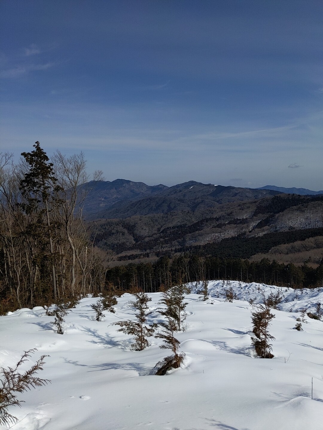 雪が降ったら筑波山 / tosiさんの筑波山の活動データ | YAMAP / ヤマップ