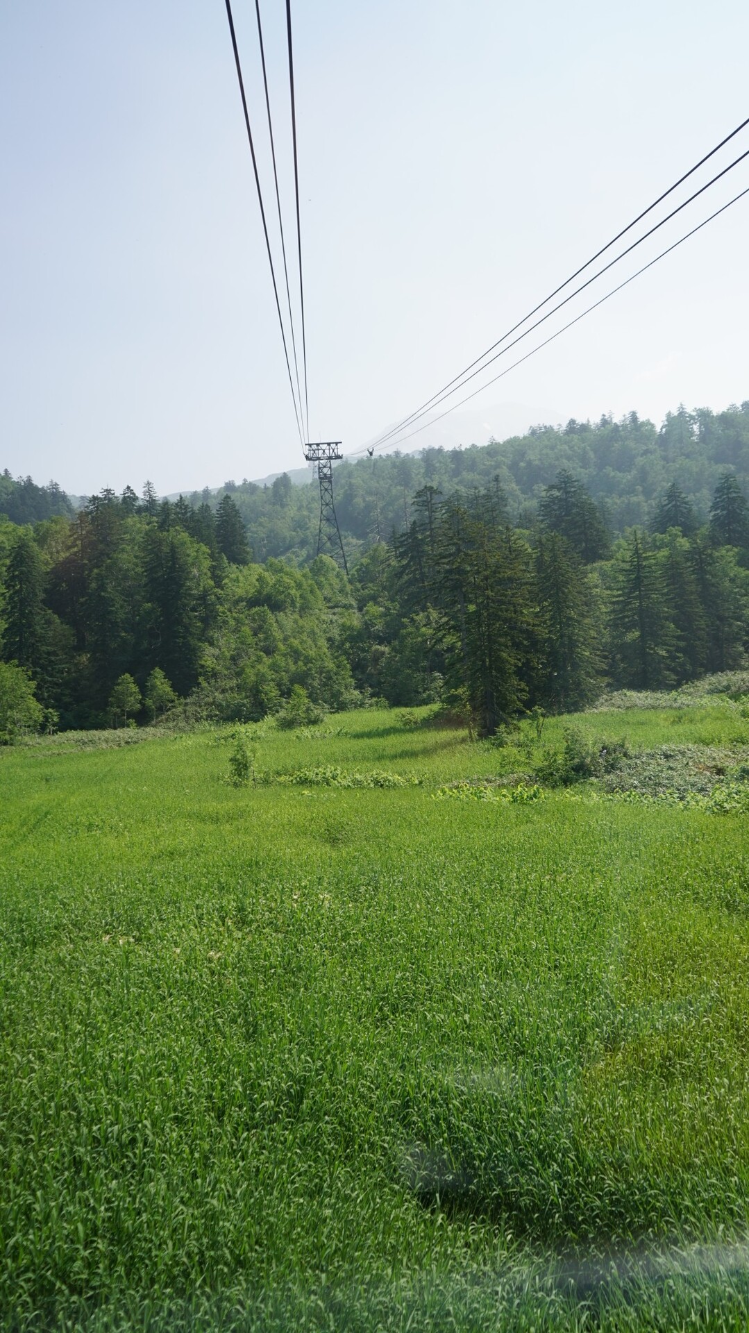 熊、熊、熊！ / Alex Kudzinさんの大雪山系・旭岳・トムラウシの活動データ | YAMAP / ヤマップ
