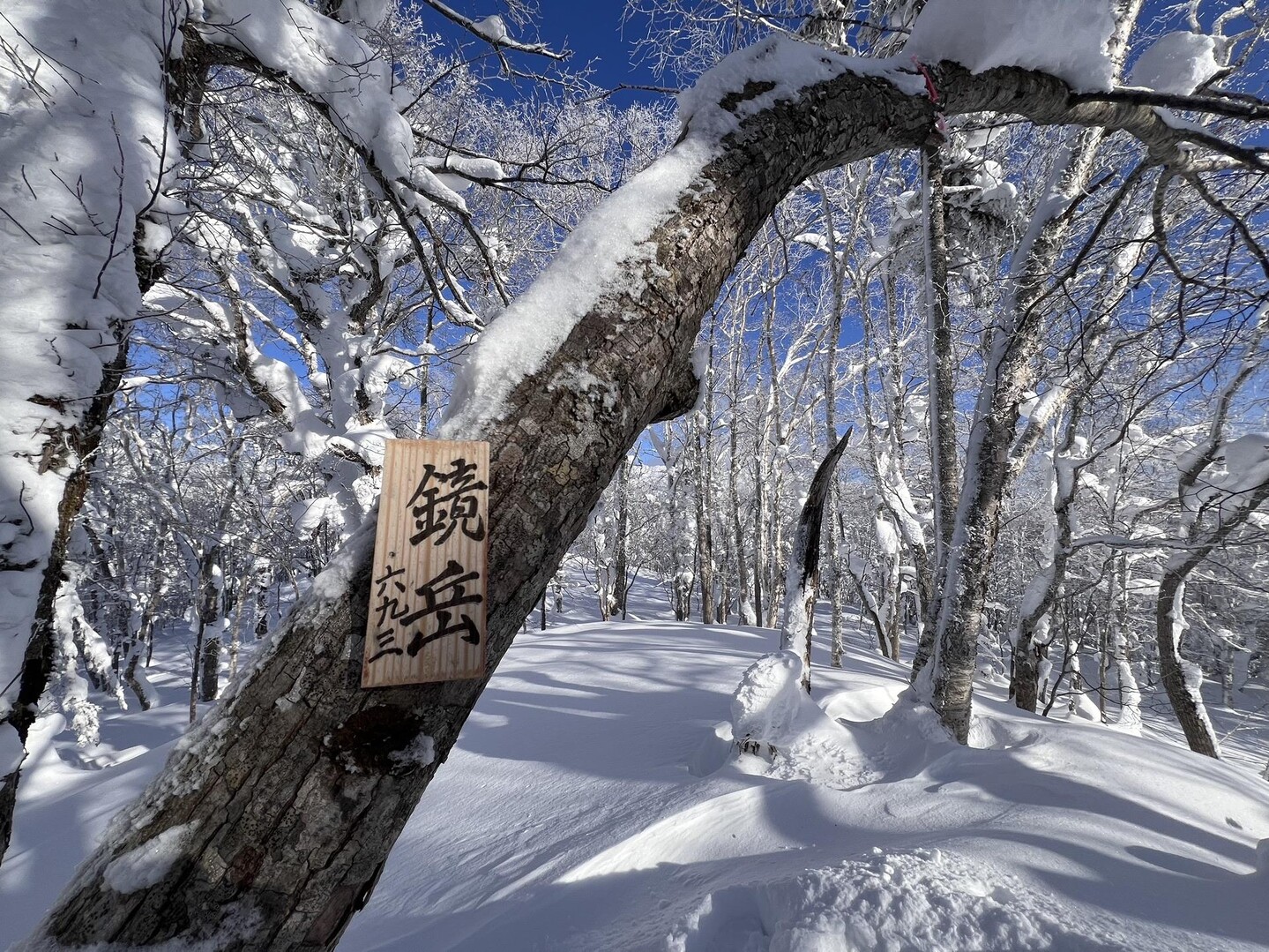 「鏡岳」693m / FUM!さんの班渓幌内山・丸子山・神居山の活動データ | YAMAP / ヤマップ