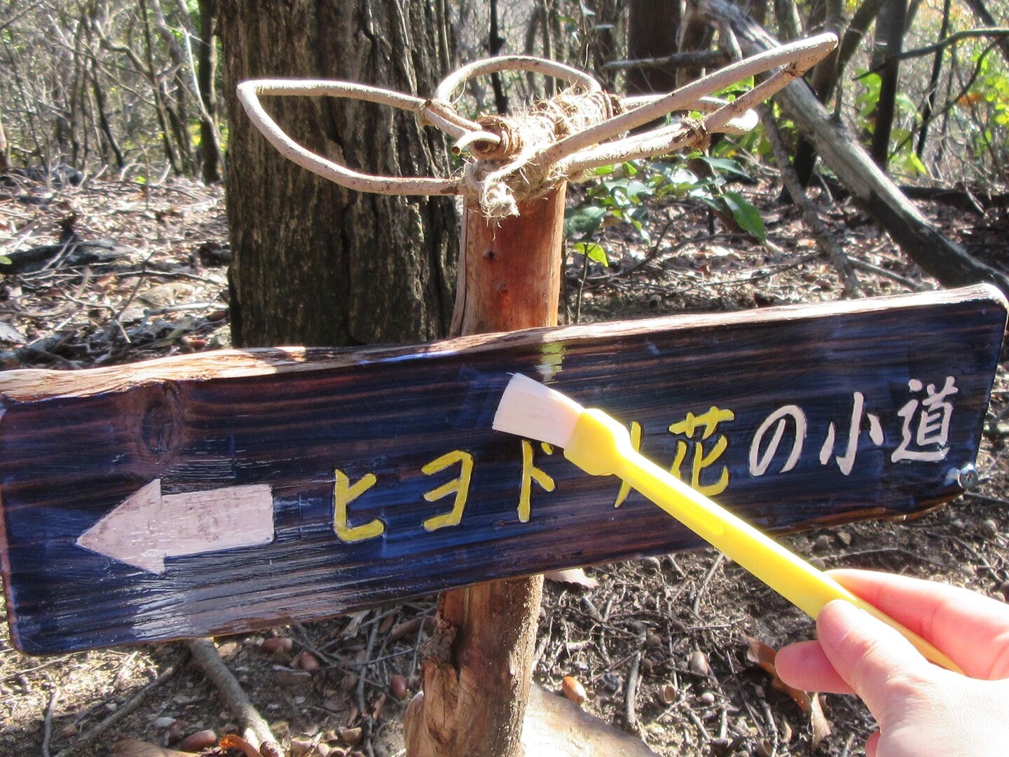 西尾茶臼山ボラ活 / AYAさんの茶臼山・万灯山の活動データ | YAMAP / ヤマップ