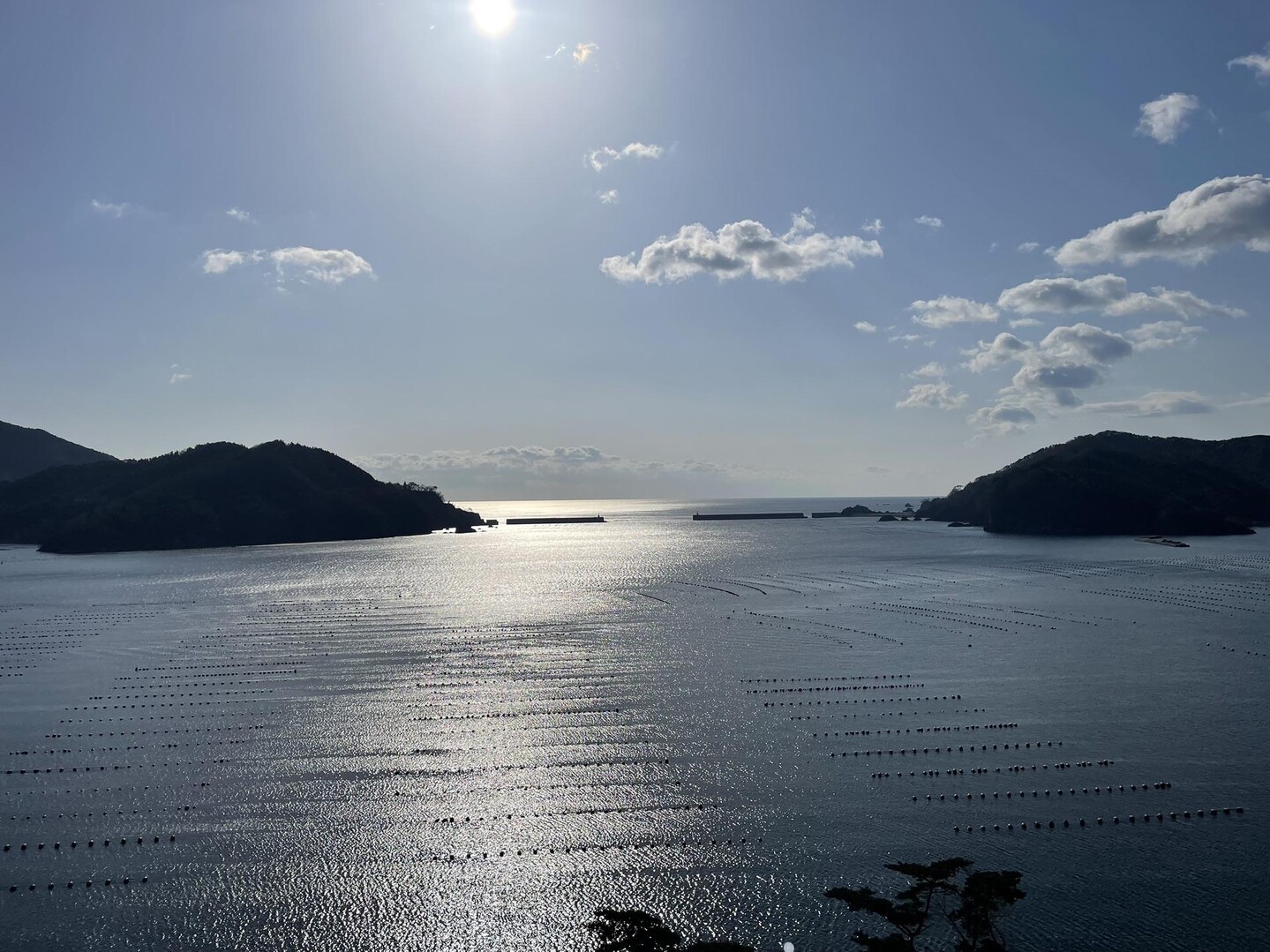 おおふなトレイル Vol.10末崎〜潮香の道 / ともさんのみちのく潮風トレイル 陸前高田市ルートの活動データ | YAMAP / ヤマップ