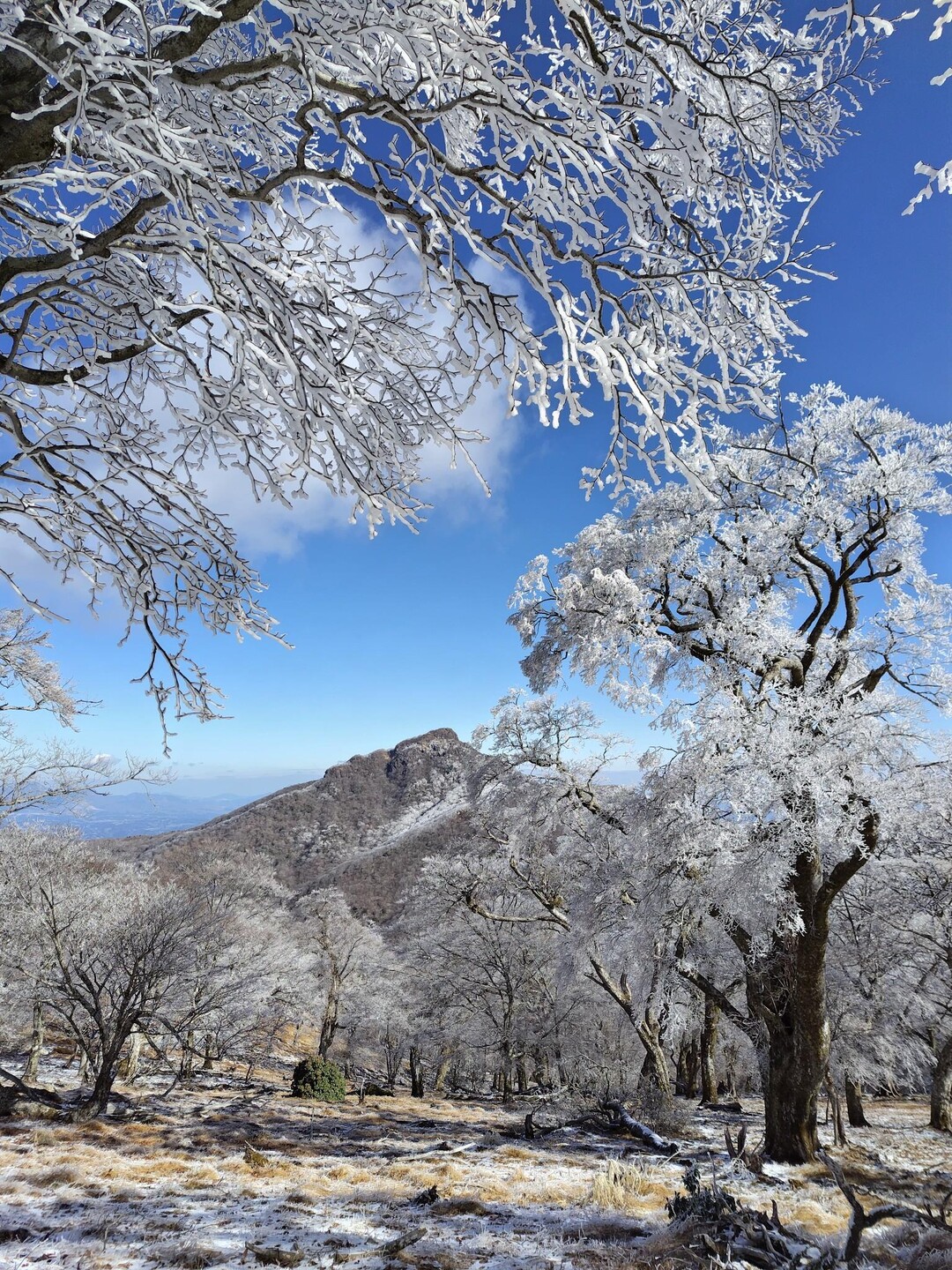 親父山＆障子岳 / nanaoさんの祖母山の活動データ | YAMAP / ヤマップ