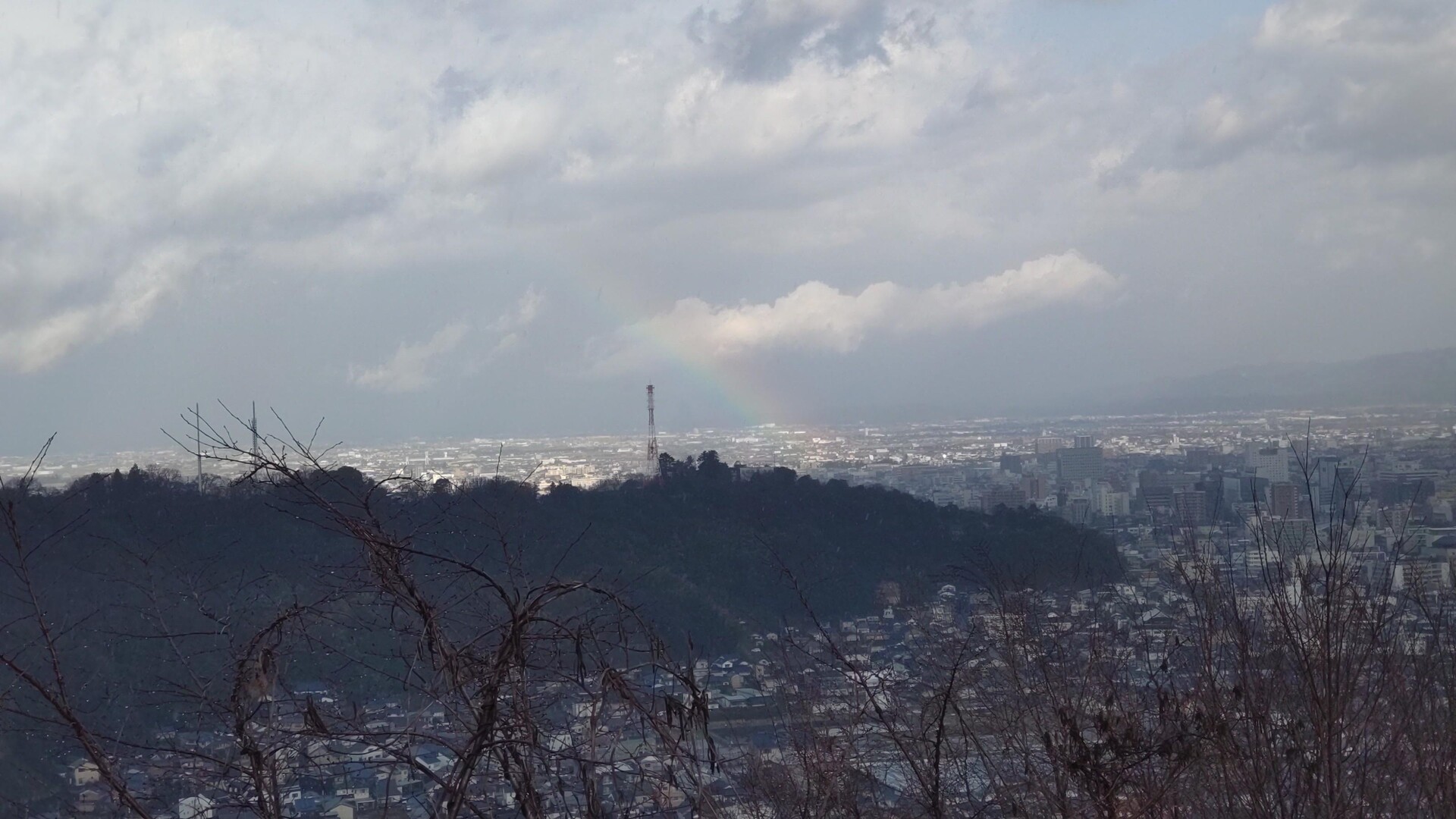 足羽山・八幡山 https://tabi... / てんぐのこさんのモーメント | YAMAP / ヤマップ