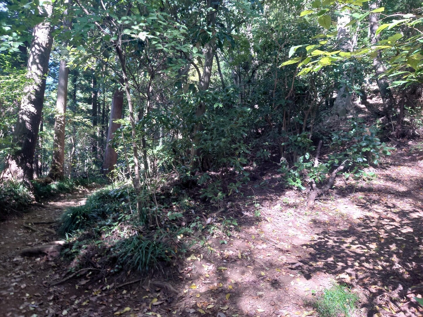 ANCさんの投稿したフィールドメモ | YAMAP / ヤマップ