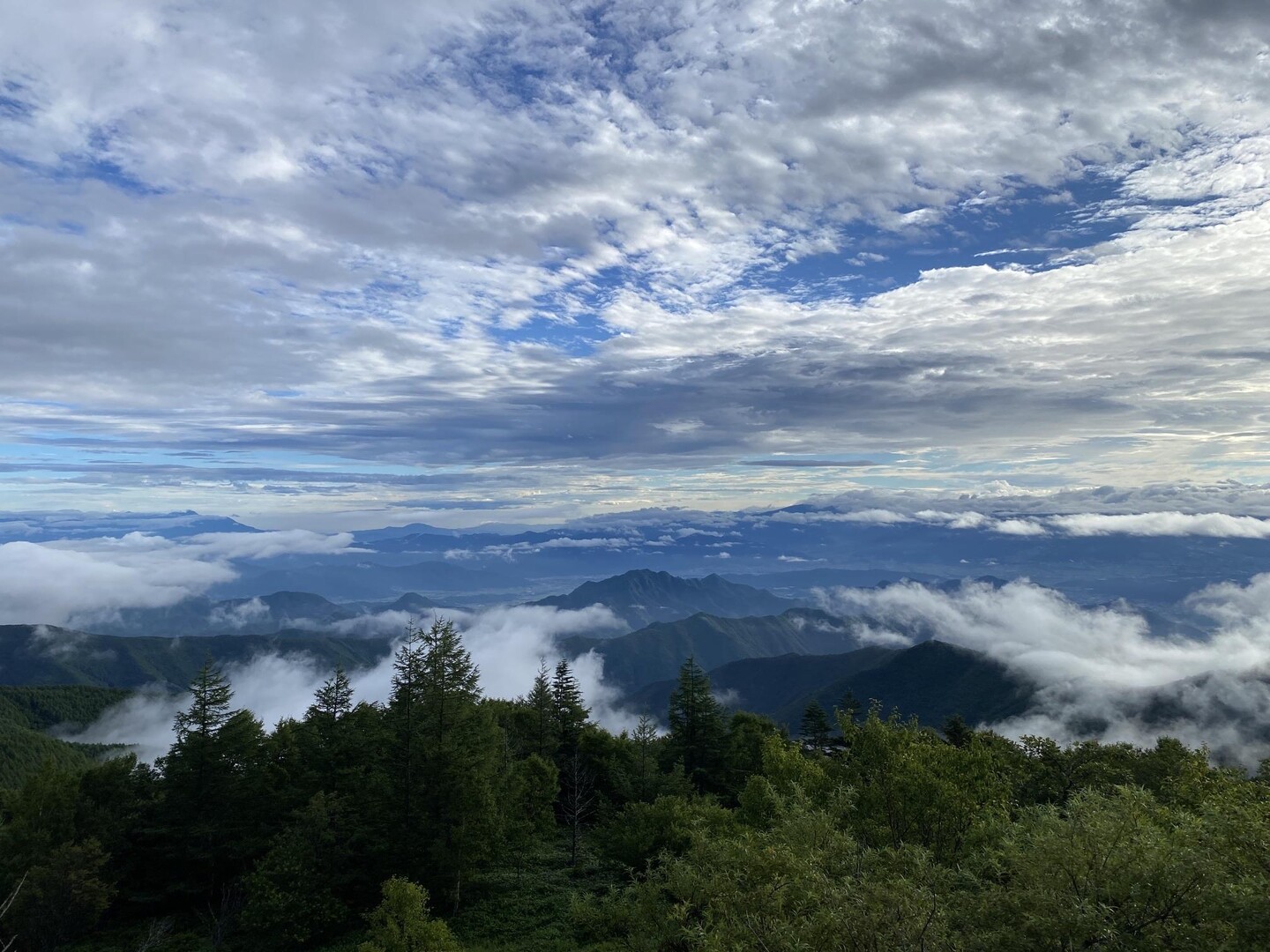 800座 100名山 美ヶ原（王ヶ頭） / Patさんの美ヶ原の活動データ | YAMAP / ヤマップ