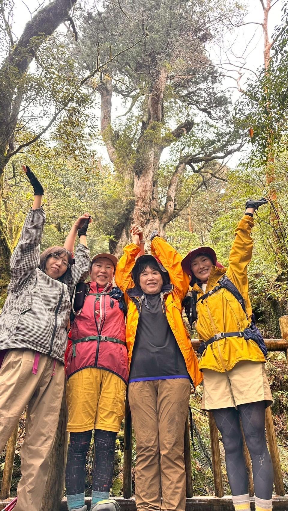 2025-04-22屋久島 縄文杉 / Akaneさんの屋久島・宮之浦岳の活動データ | YAMAP / ヤマップ