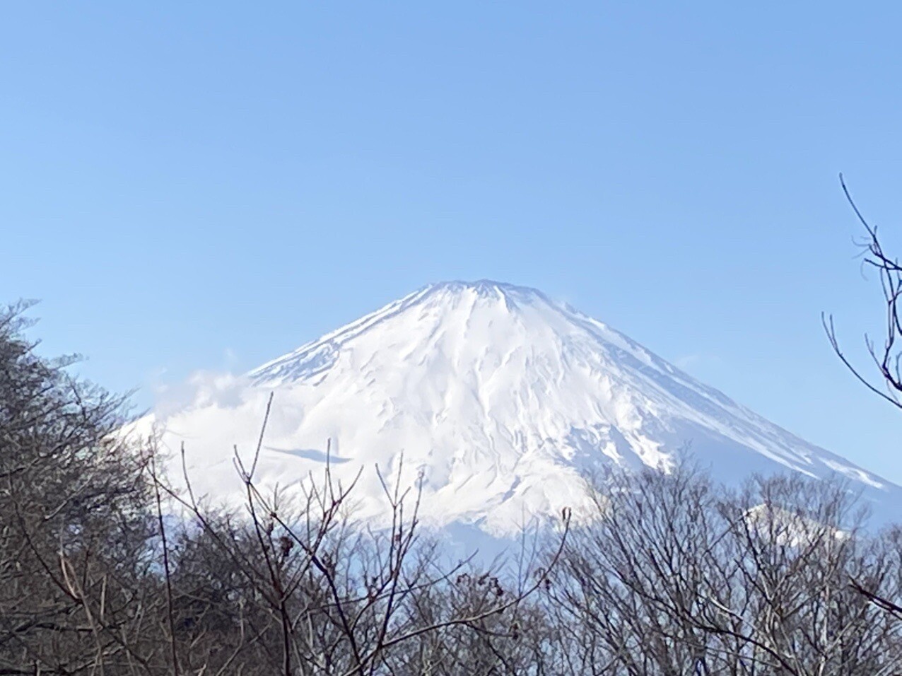矢倉岳 / FUJI子さんの矢倉岳の活動データ | YAMAP / ヤマップ