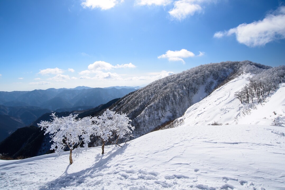 綿向山の最新登山情報 人気の登山ルート、写真、天気など Yamap ヤマップ