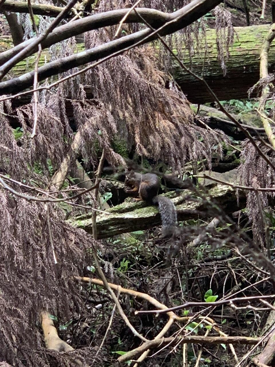 YMO.Kのページ | YAMAP / ヤマップ