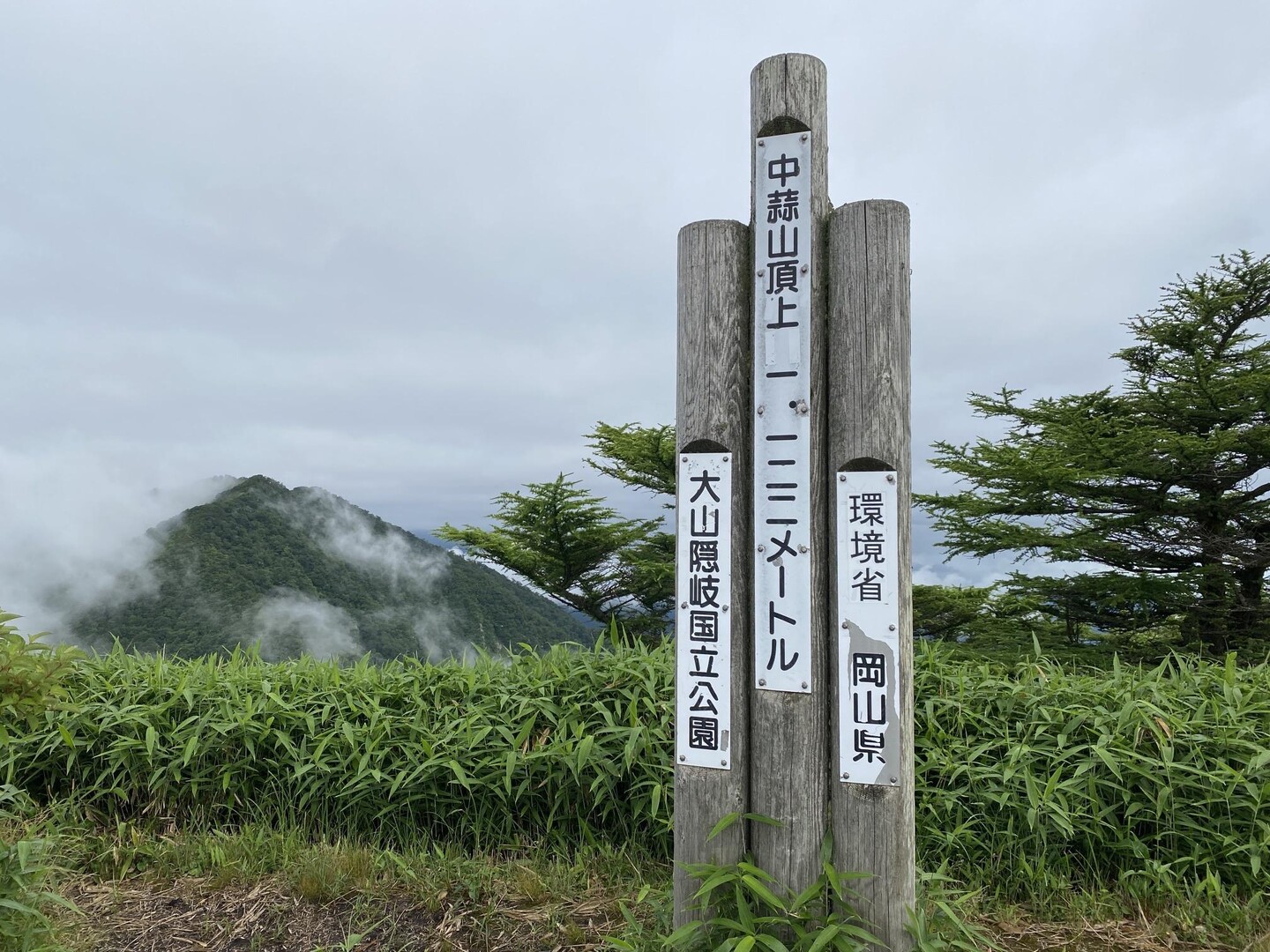 中蒜山・上蒜山・槍ヶ峰+おまけで羽衣石城跡 / amanomanさんの蒜山の活動データ | YAMAP / ヤマップ