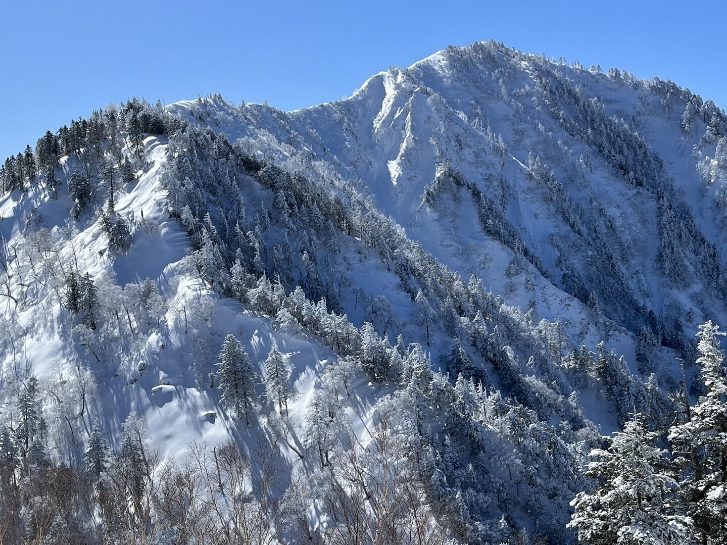 積雪期.白谷山2 / Jさんの乗鞍岳の活動データ | YAMAP / ヤマップ