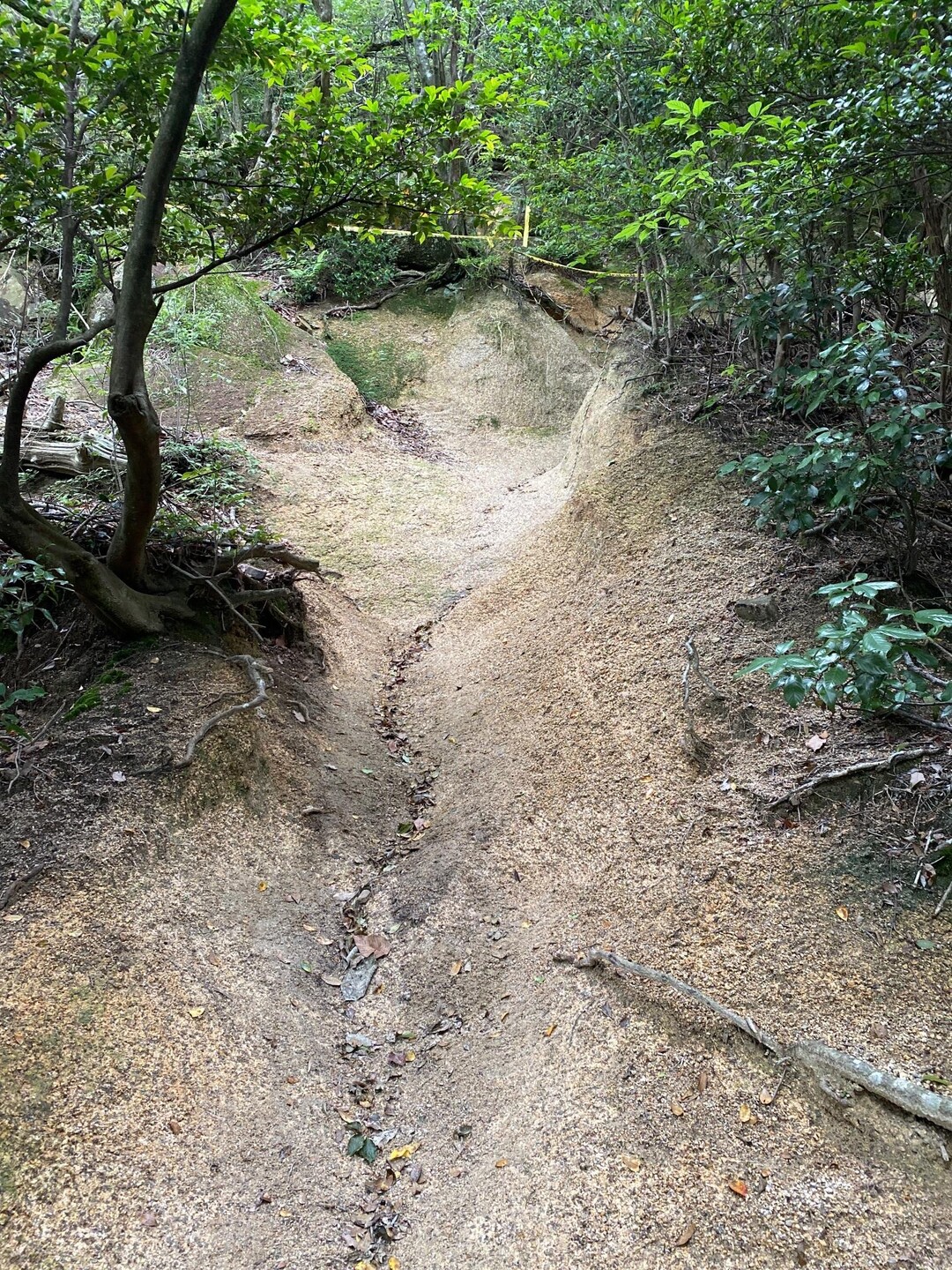 TRさんの投稿したフィールドメモ | YAMAP / ヤマップ