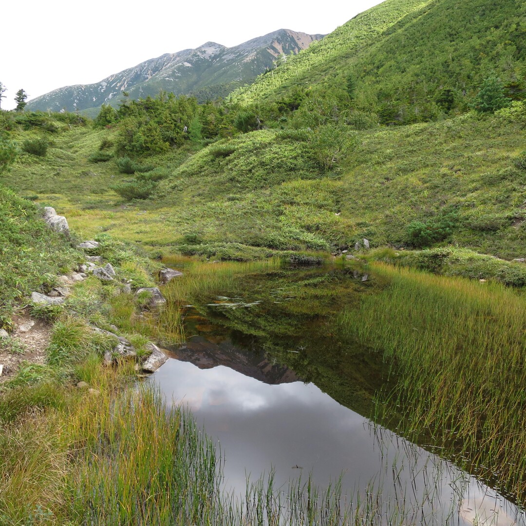 雲ノ平・夢ノ平 / J-BOYさんの水晶岳・薬師岳・黒部五郎岳・鷲羽岳・三俣蓮華岳・湯俣の活動データ | YAMAP / ヤマップ