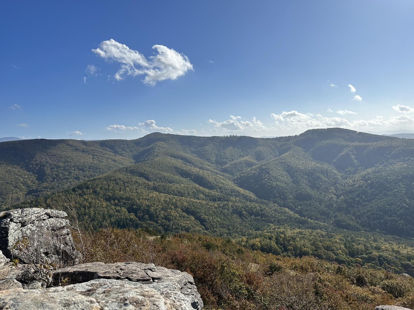 塩谷丸山 / whale瀧さんの塩谷丸山・於古発山の活動データ | YAMAP / ヤマップ